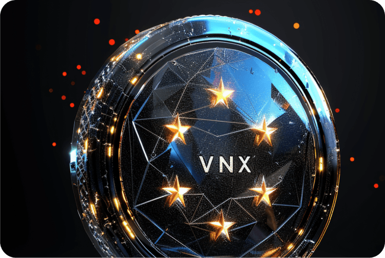 VNX Community Hub